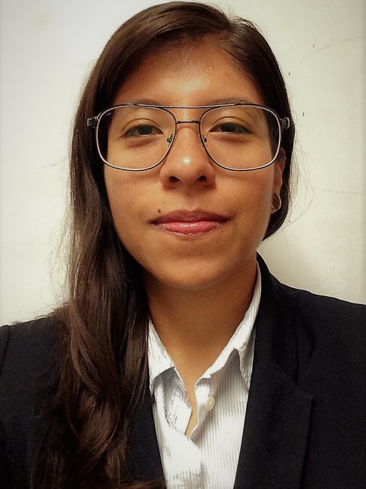 fellows | Unesco - Drupal